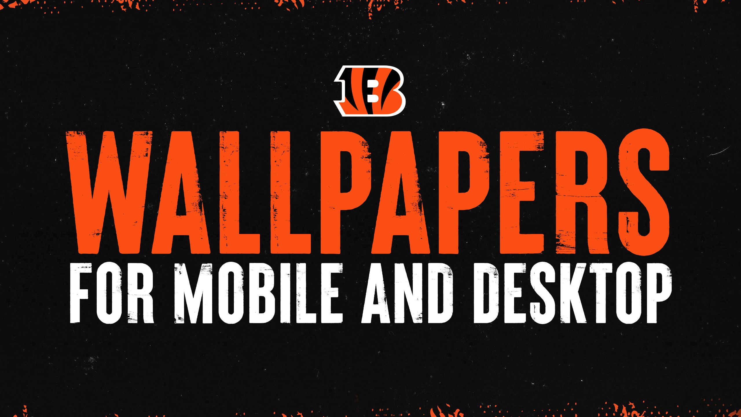 Cincinnati Bengals Fans | Fan Zone - Bengals.com