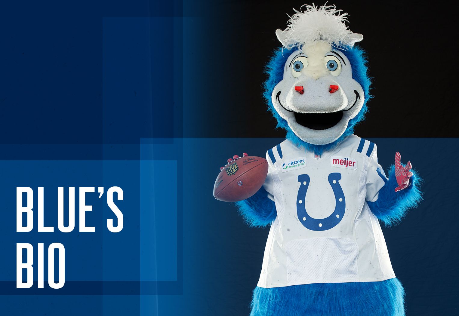 Colts Mascot Blue | Indianapolis Colts - colts.com