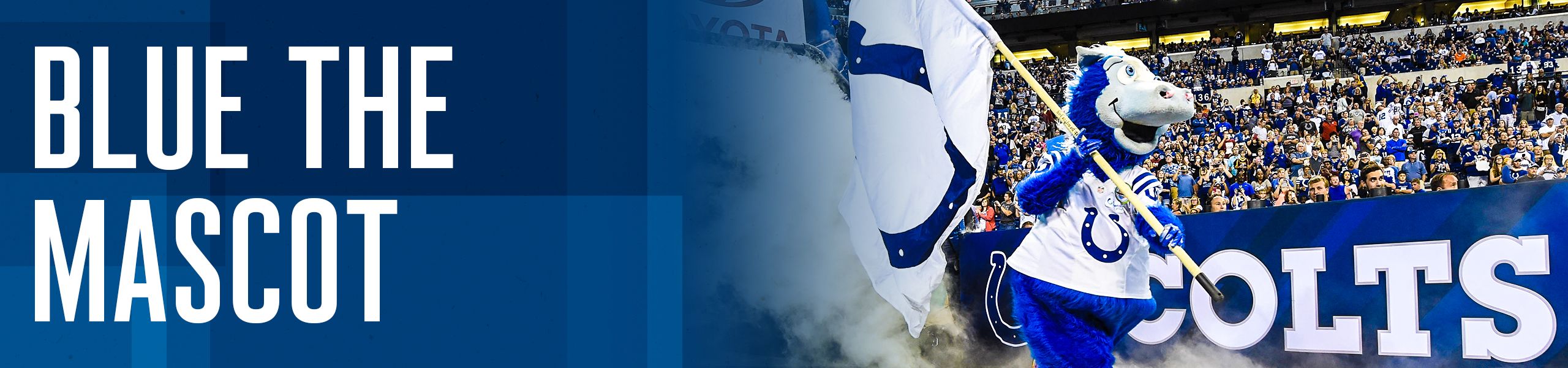 Colts Mascot Blue | Indianapolis Colts - colts.com