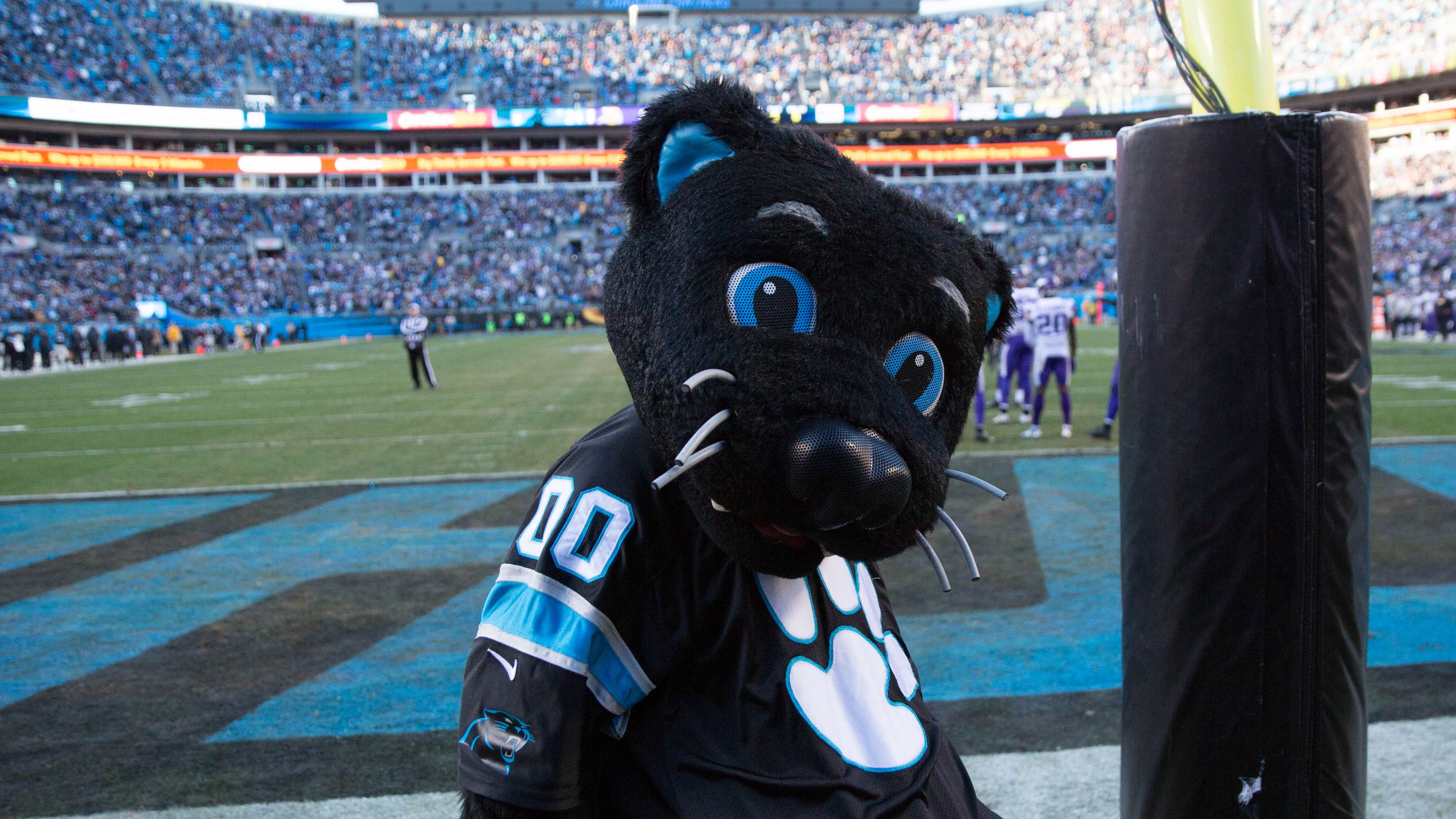 Entertainment | Carolina Panthers - Panthers.com