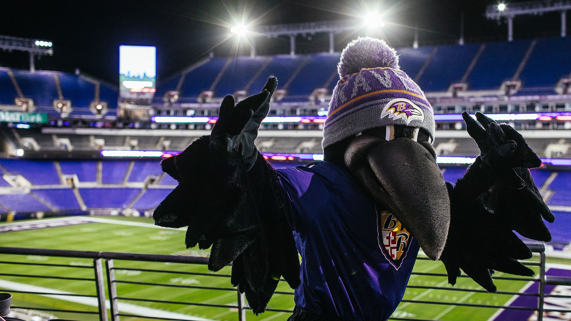 Ravens Zoom Backgrounds | Baltimore Ravens – baltimoreravens.com