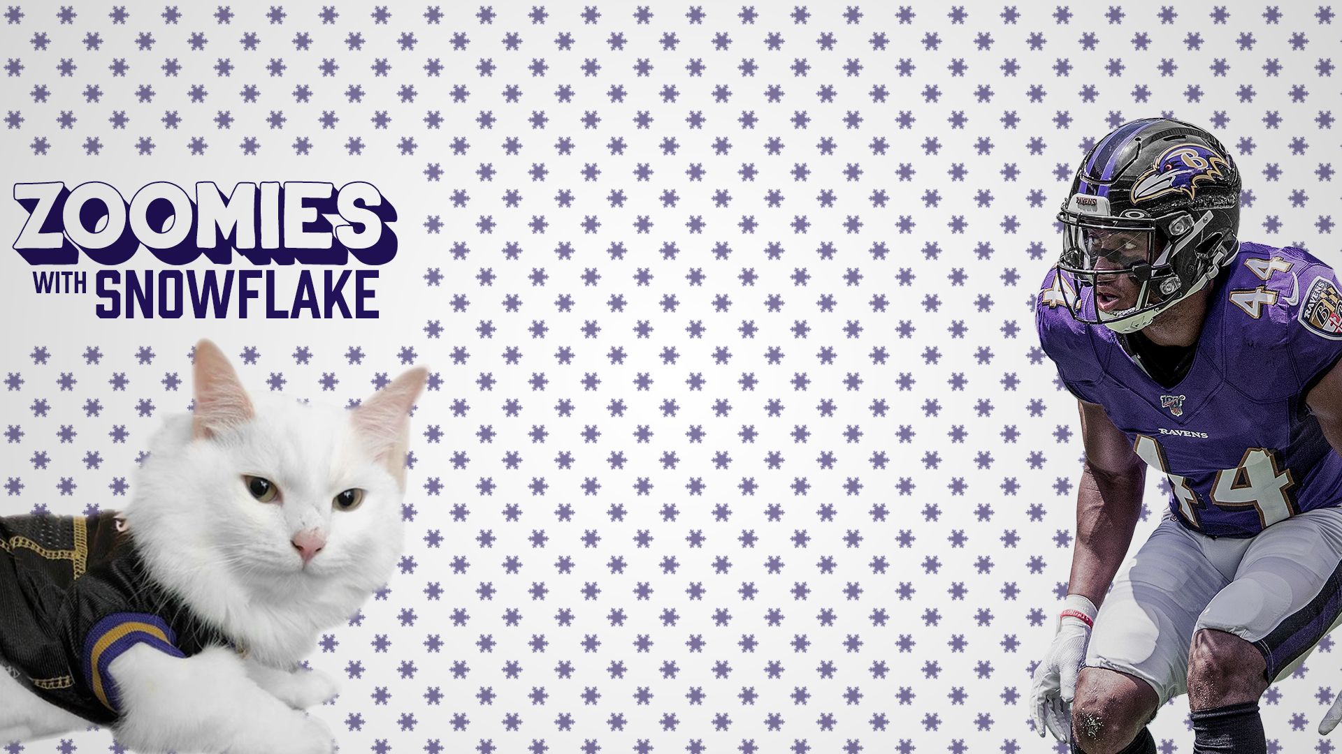 Ravens Zoom Backgrounds | Baltimore Ravens – baltimoreravens.com