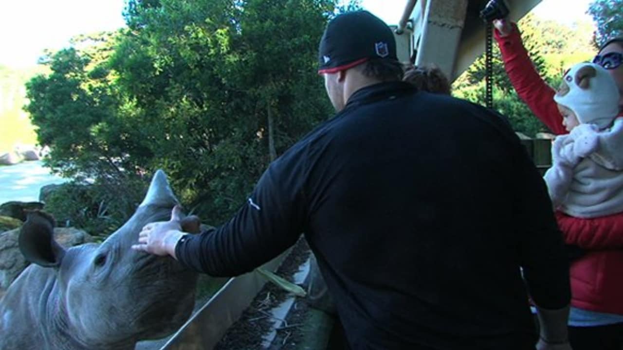 SF Zoo Names Rhino After Alex Boone