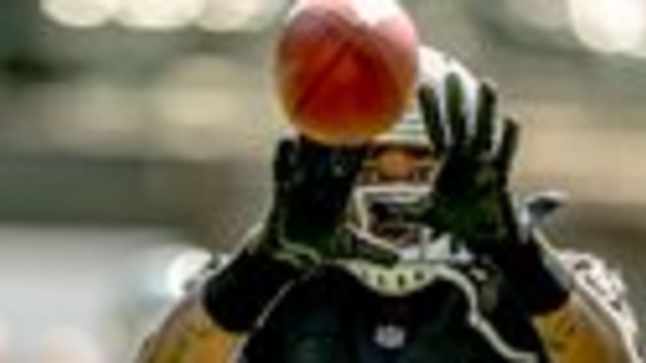 49ers Sign WR Brandon Carswell