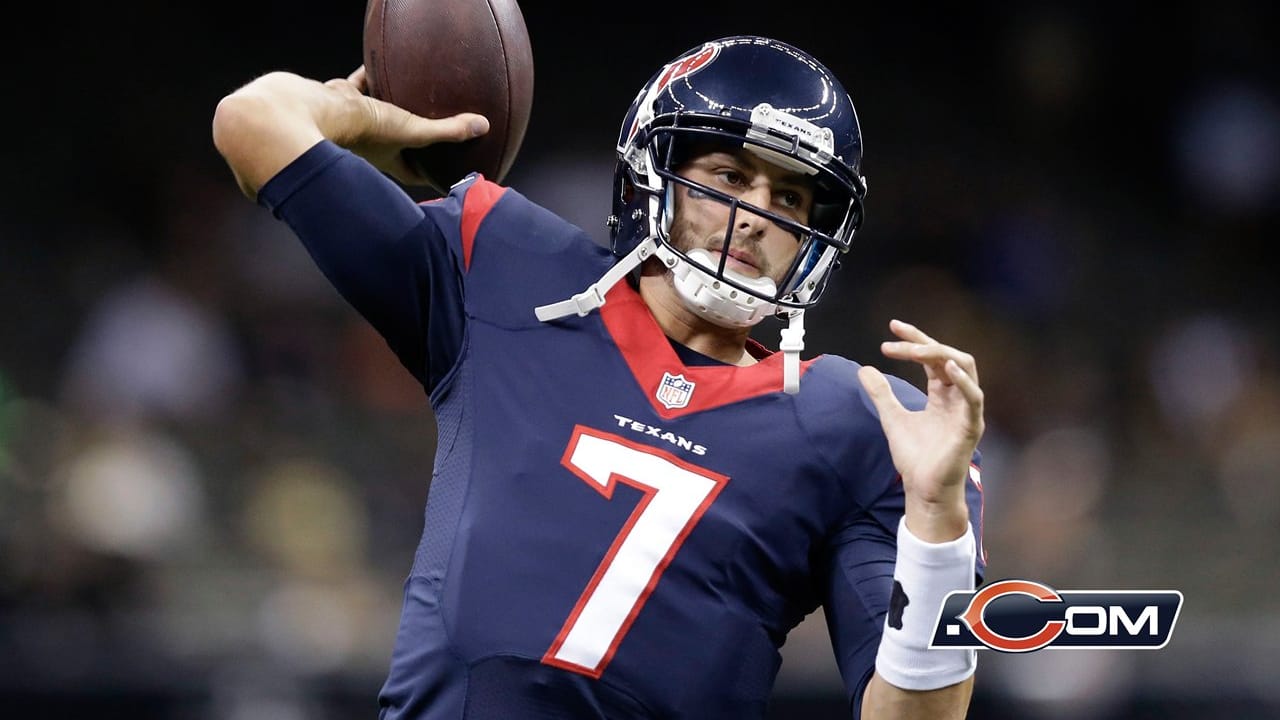Bears add QB Brian Hoyer