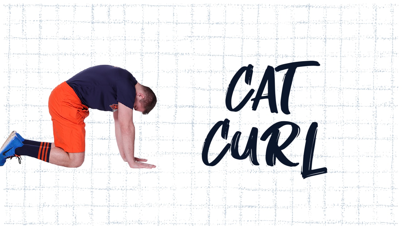 Flexibility - Cat Curl