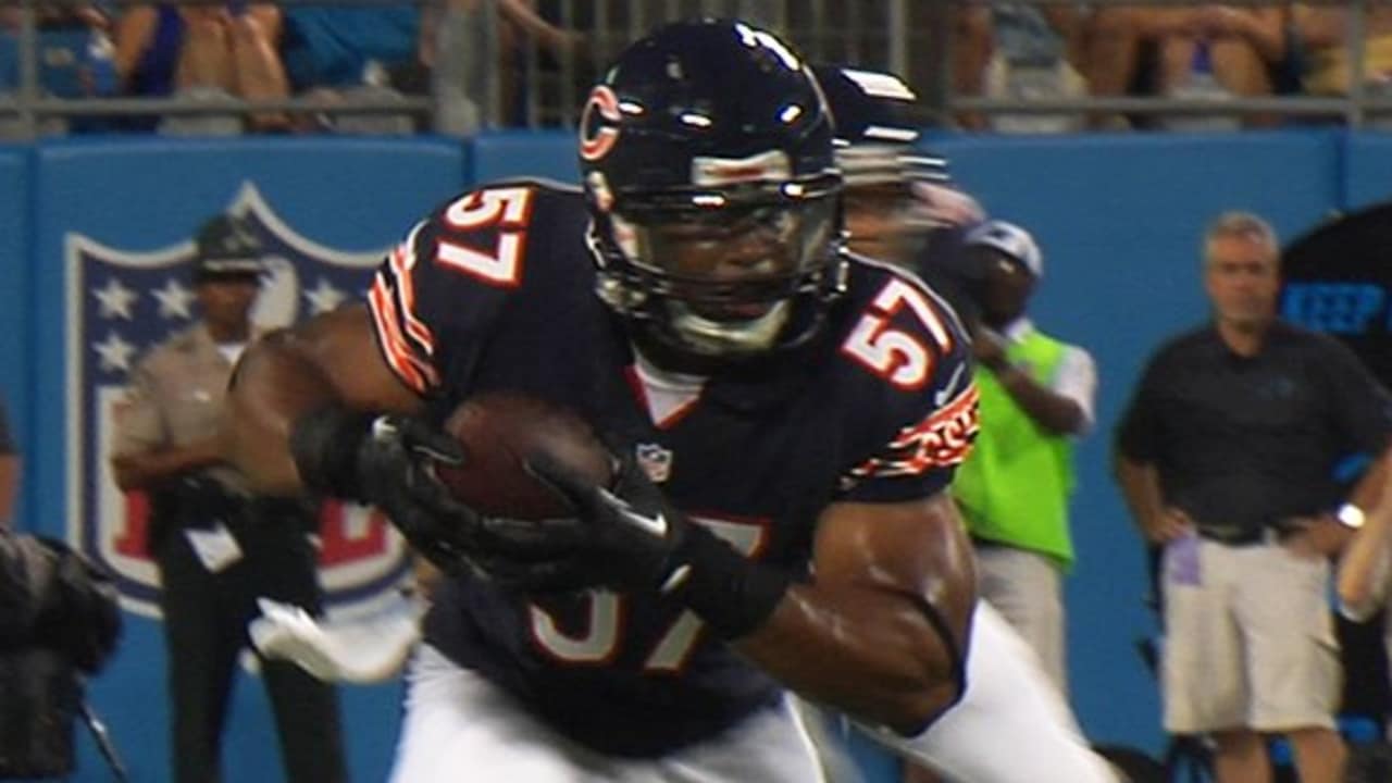 Highlights: Bears-Panthers