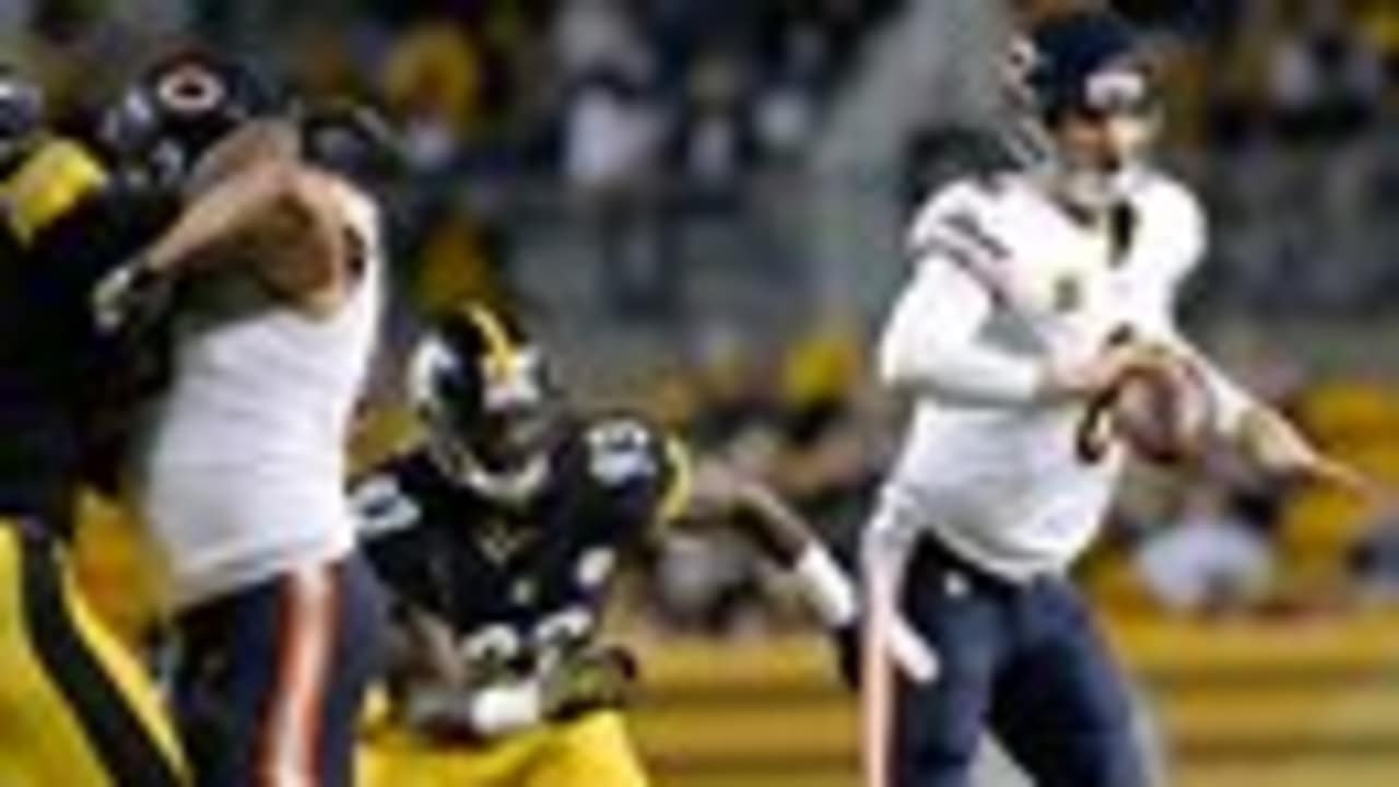 Larry Mayer's Bears at Steelers blog
