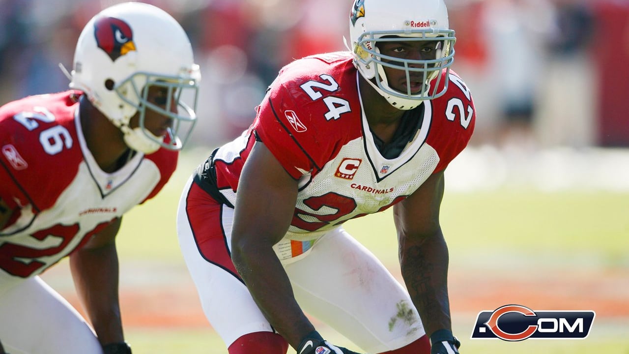 Bears sign Adrian Wilson