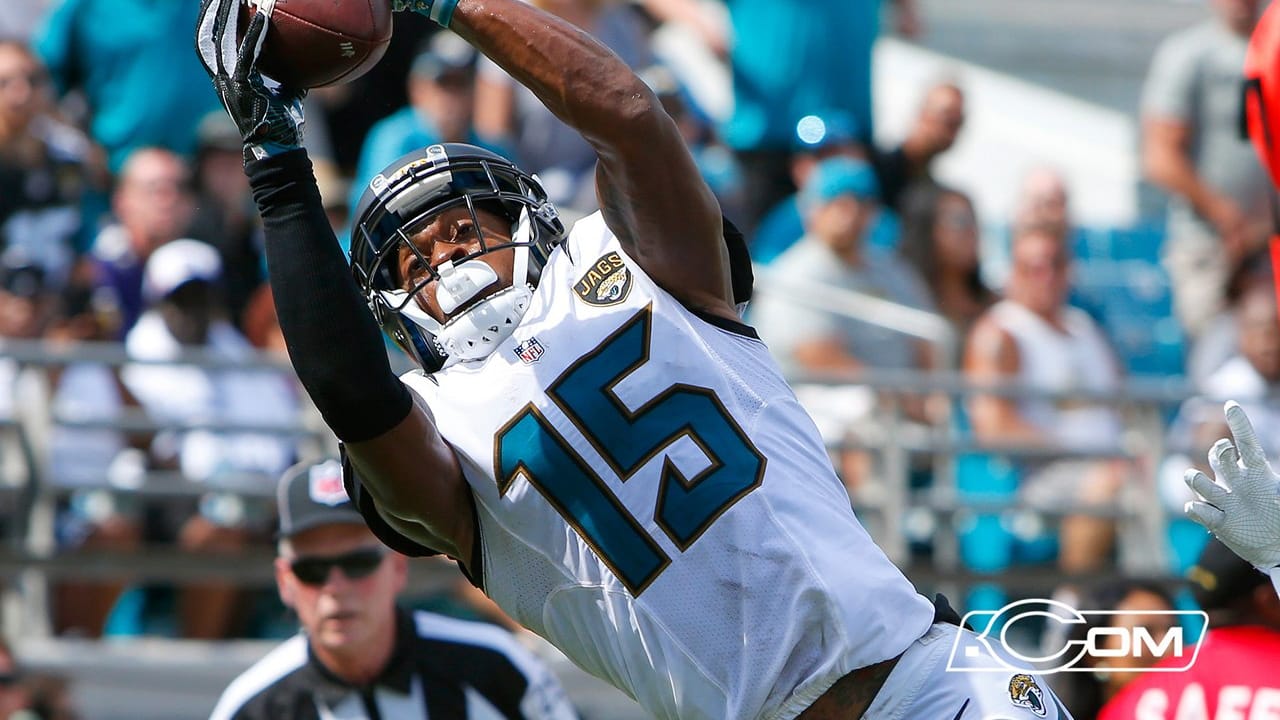 New Bears wide receiver Allen Robinson