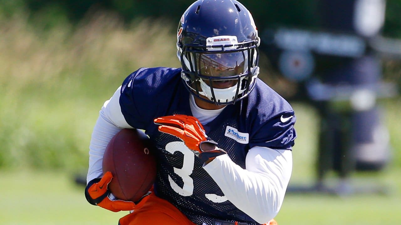 Bears Minicamp Highlights