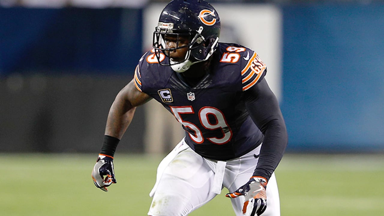 Bears news week-in-review