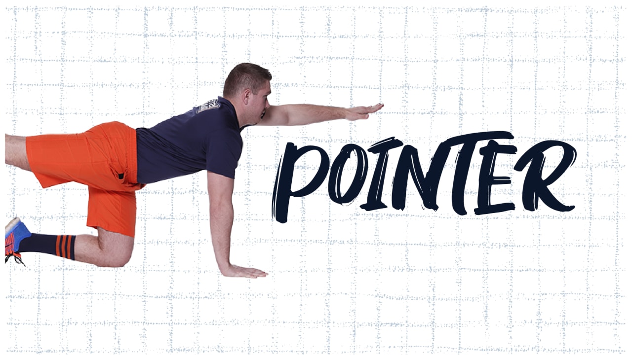 Flexibility - Pointer Pose