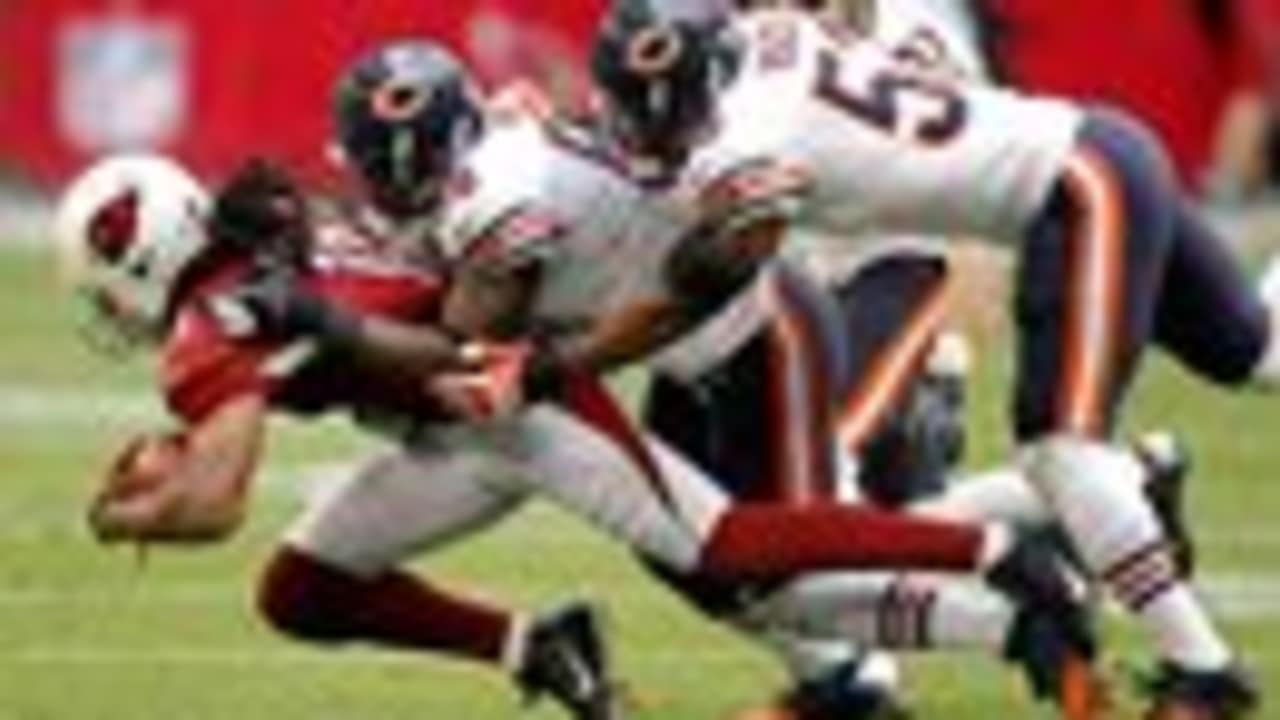 Larry Mayer's Bears-Cardinals blog