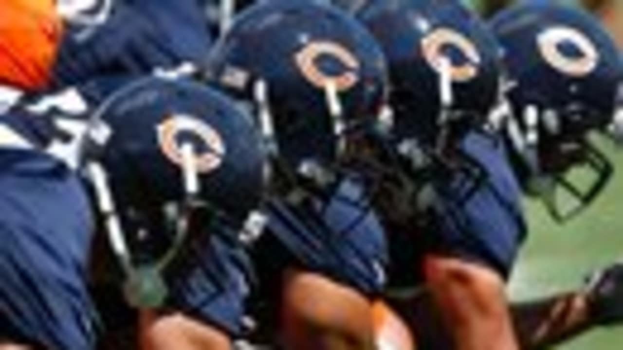 Bears support Habitat for Humanity