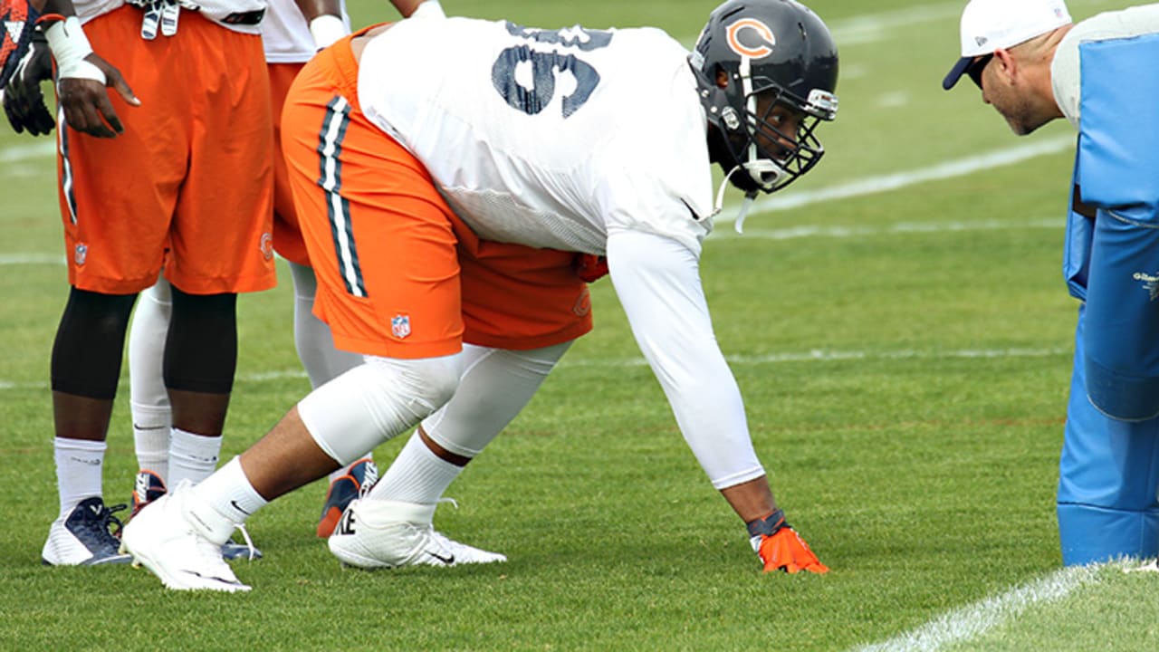 Hicks sees Bears defense on the rise