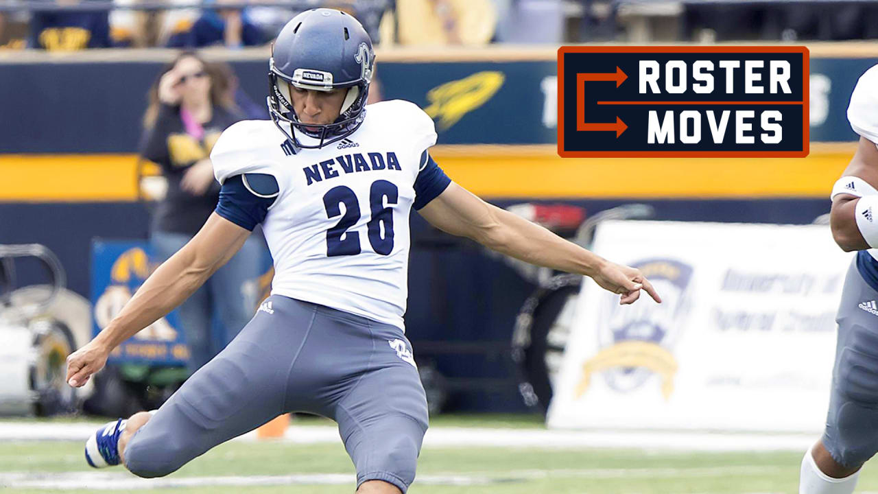 Chicago Bears waive K Ramiz Ahmed Chicago Bears waive K Ramiz Ahmed
