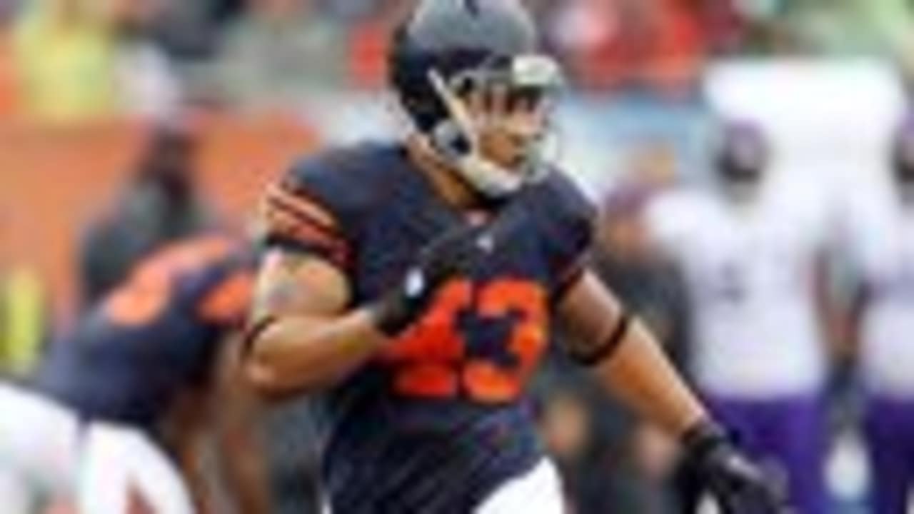 Fiammetta, Fales back with Bears