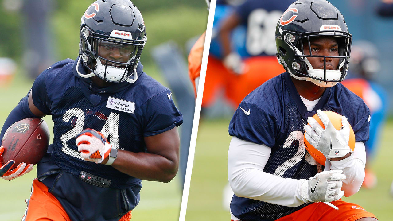Howard, Cohen give Bears a strong backfield