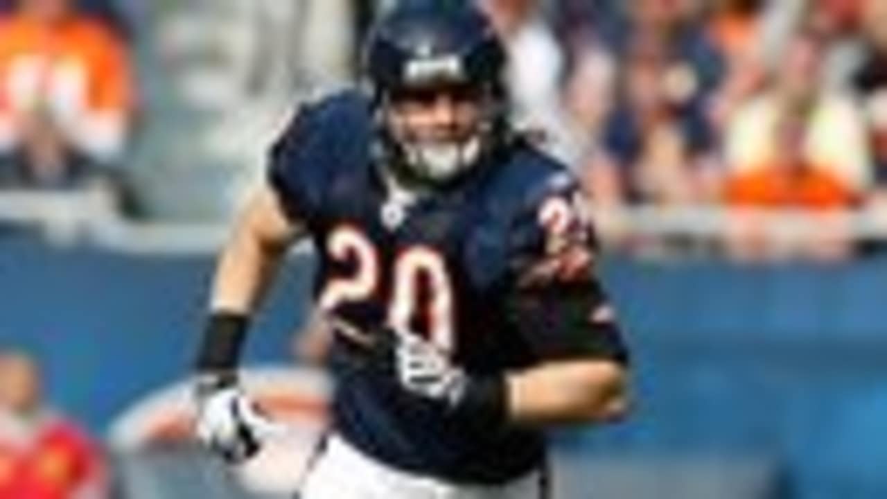 Bears release safety Craig Steltz