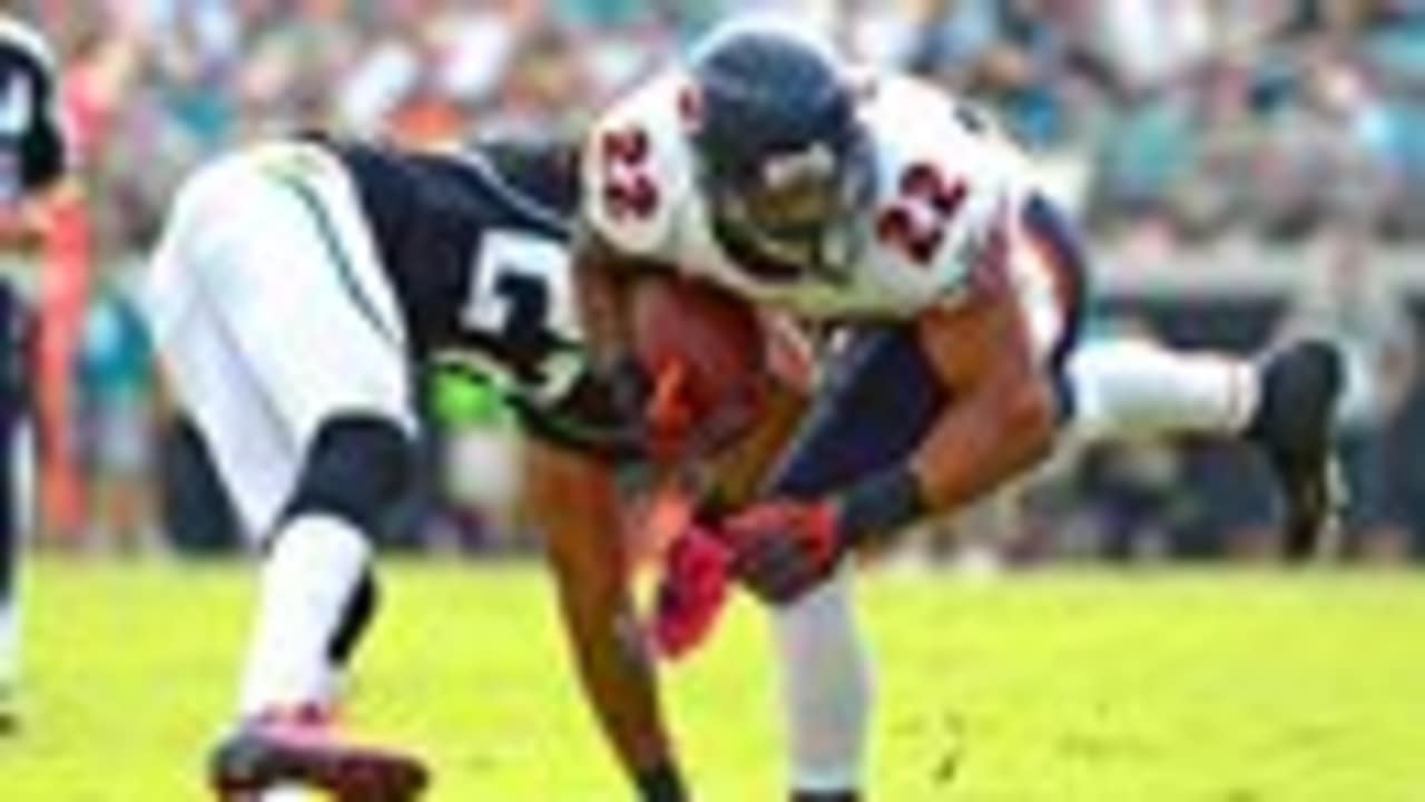 Larry Mayer's Bears-Jaguars game blog