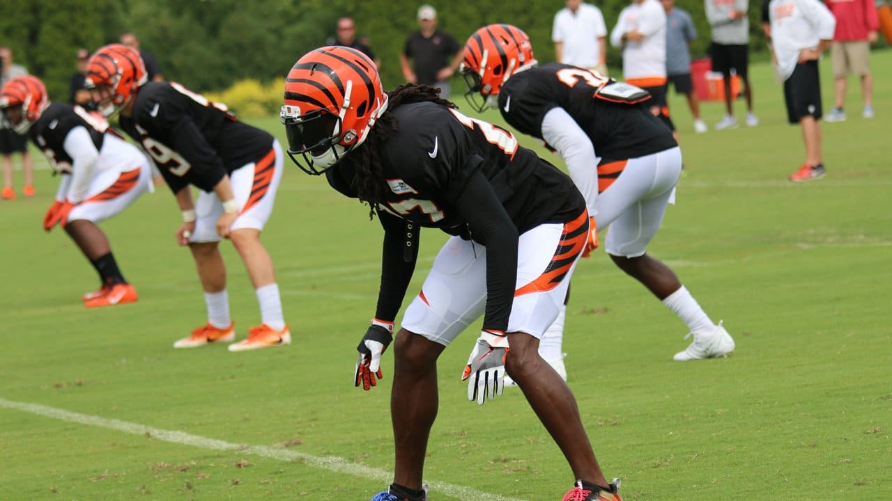 Bengals Training Camp 8/1