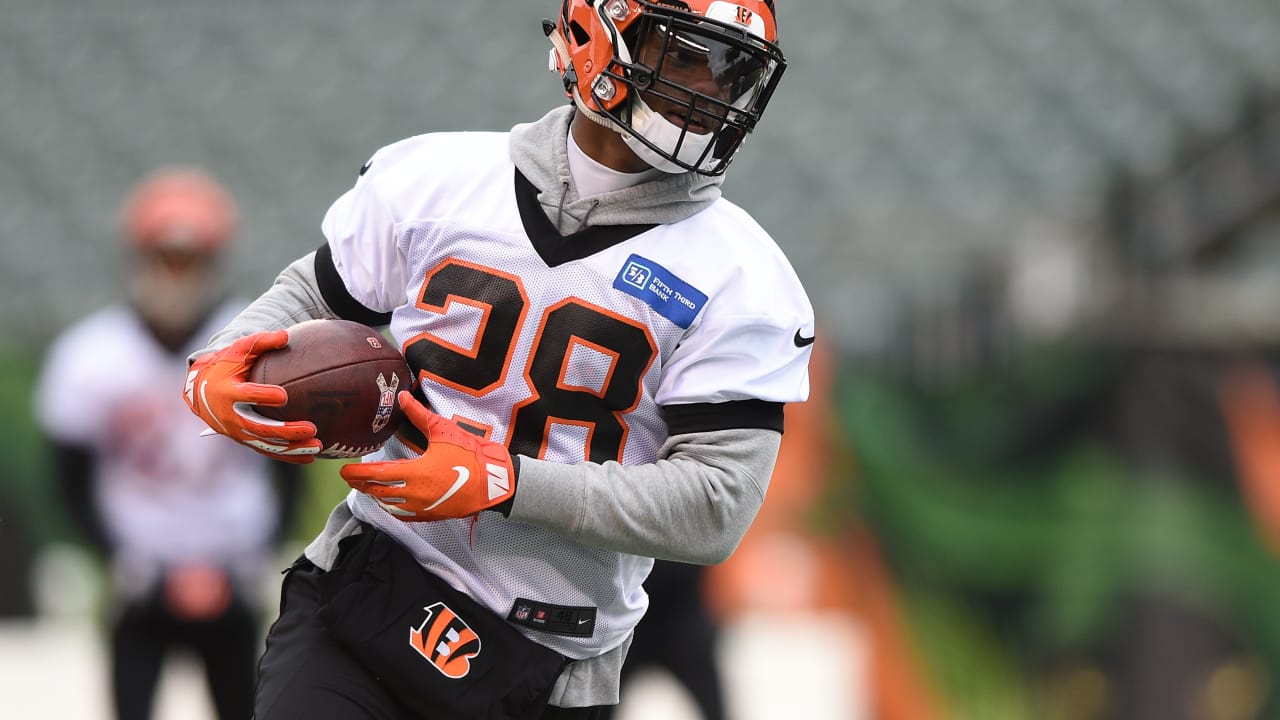 Week 14: Bengals Wednesday Practice