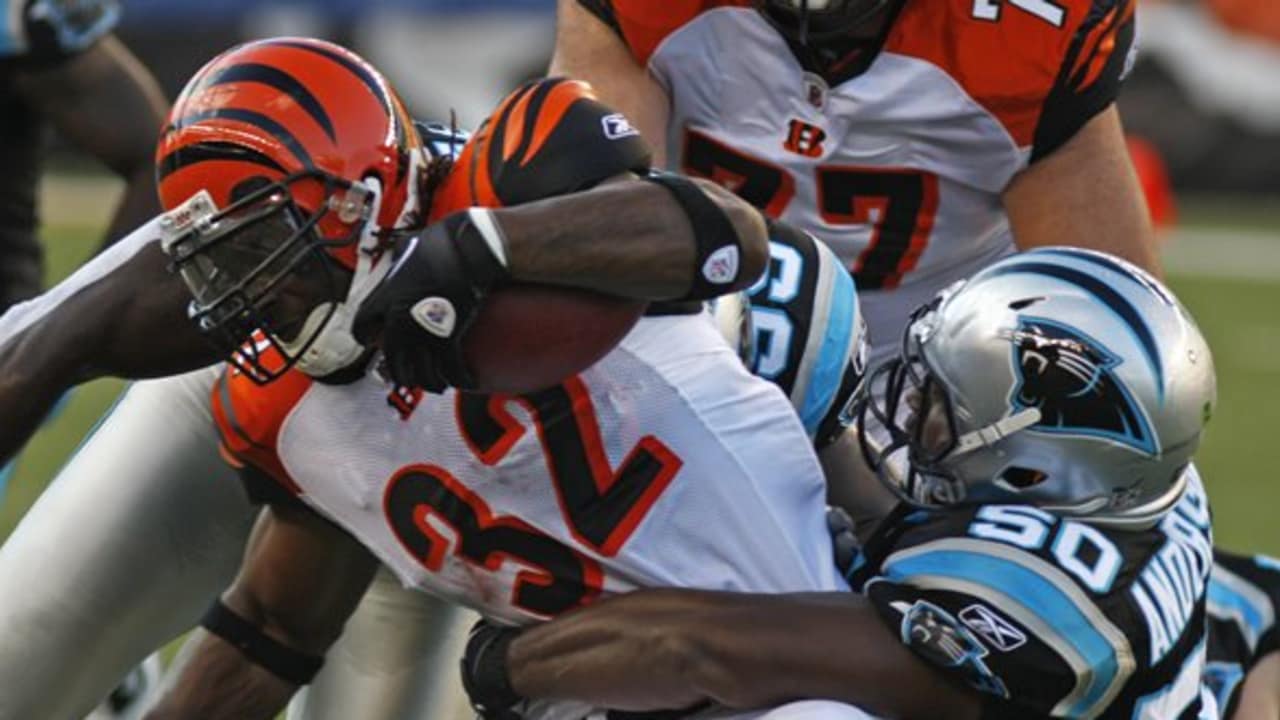 Panthers-Bengals Photo Gallery (8/25/11)