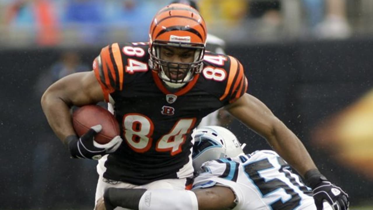 Bengals-Panthers Photo Gallery (9/26/10)