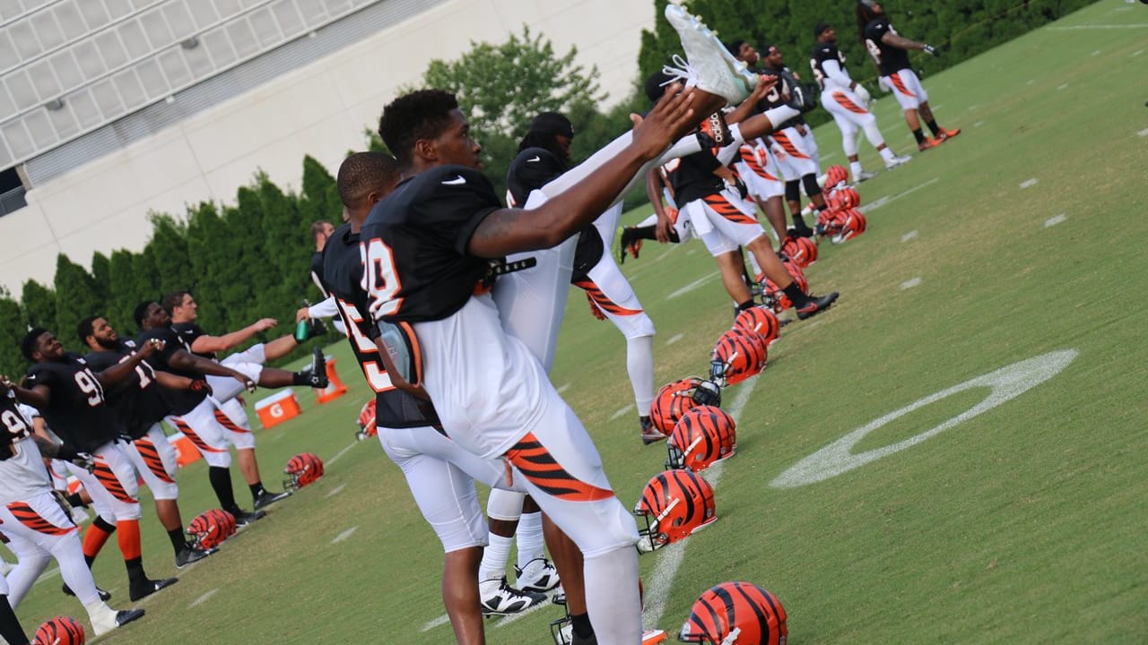 Bengals Training Camp 8/5