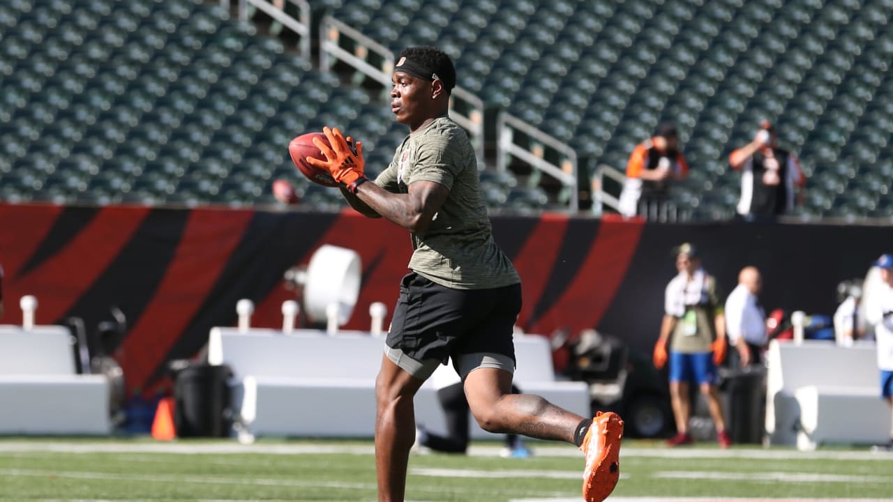 PreGame Notebook: Remember When Adam Jones Tied Up Bengals-Panthers?