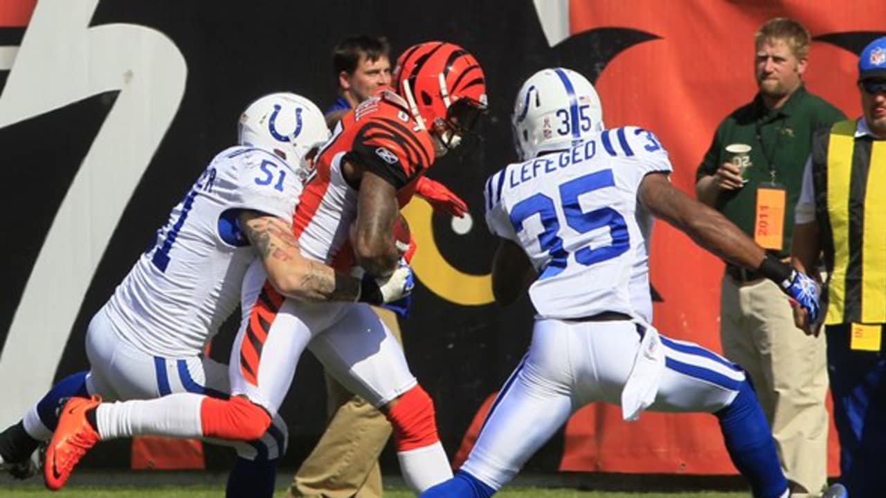 Colts-Bengals Photo Gallery (10/16/11)