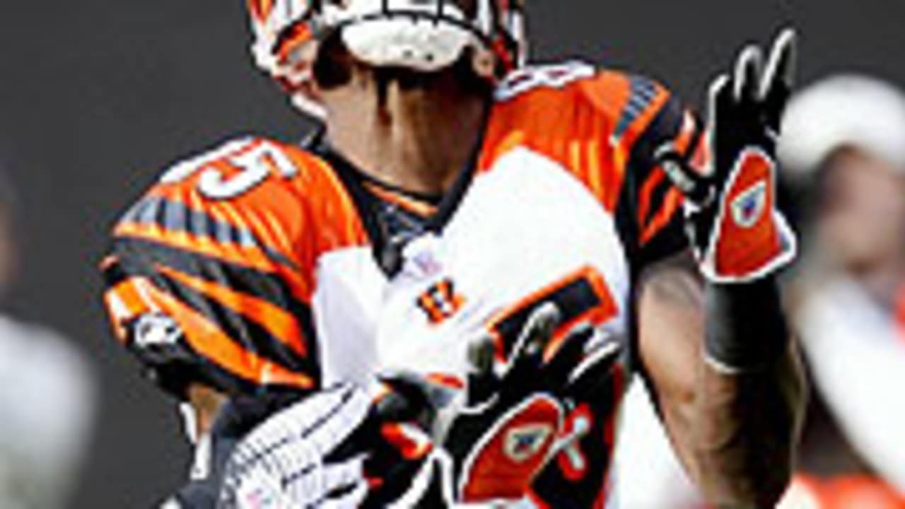 Bengals in 30-0 rollover