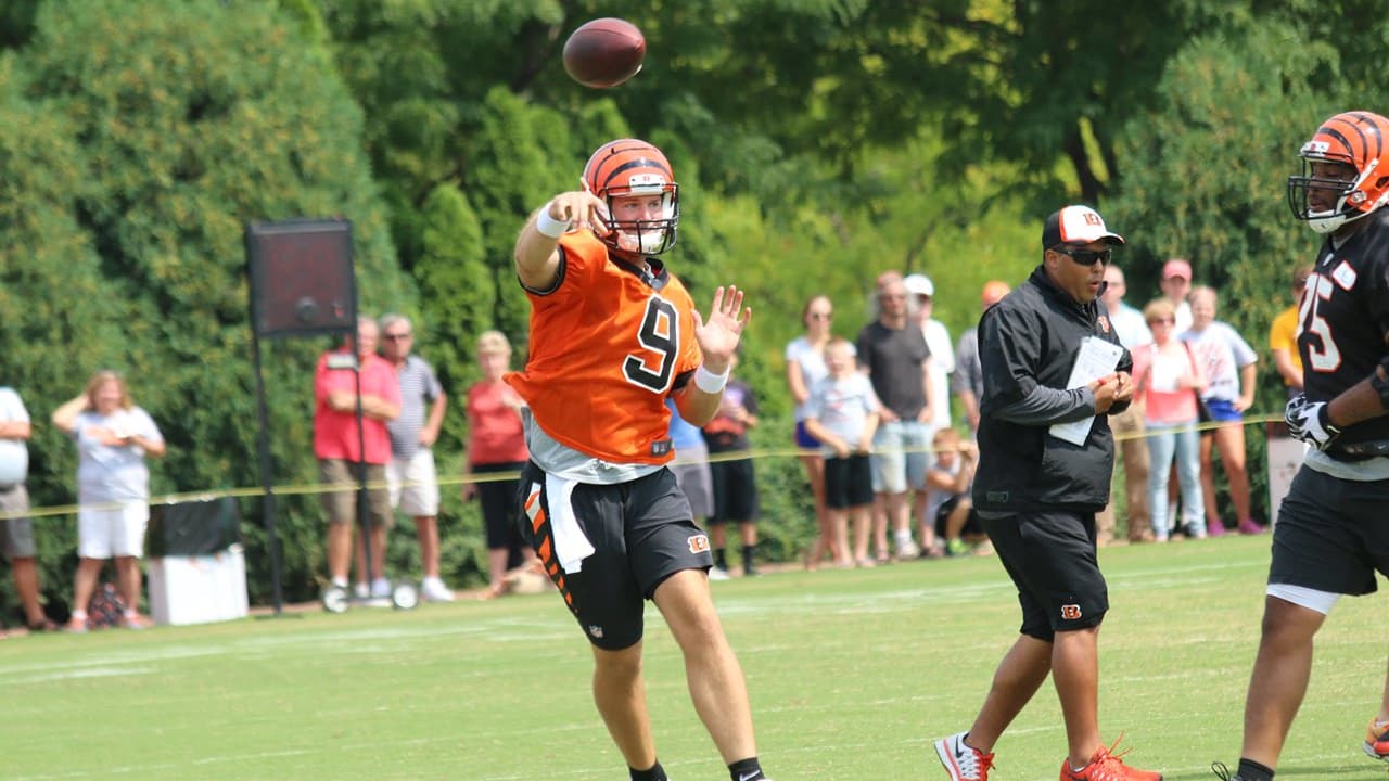 Bengals Training Camp 08/14/2014