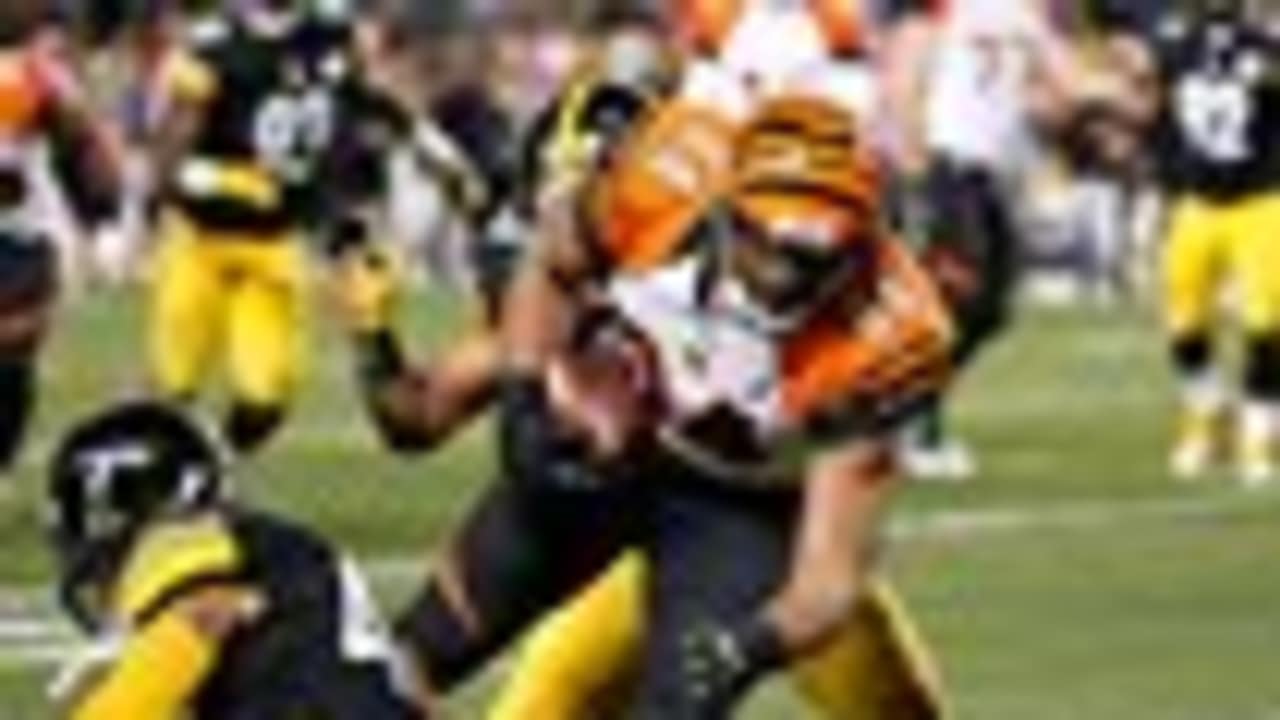 Bengals look for another bounce back in a season of them