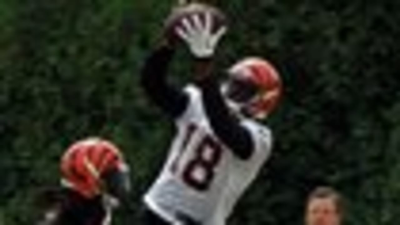 Camp report: Green, Dalton sharp