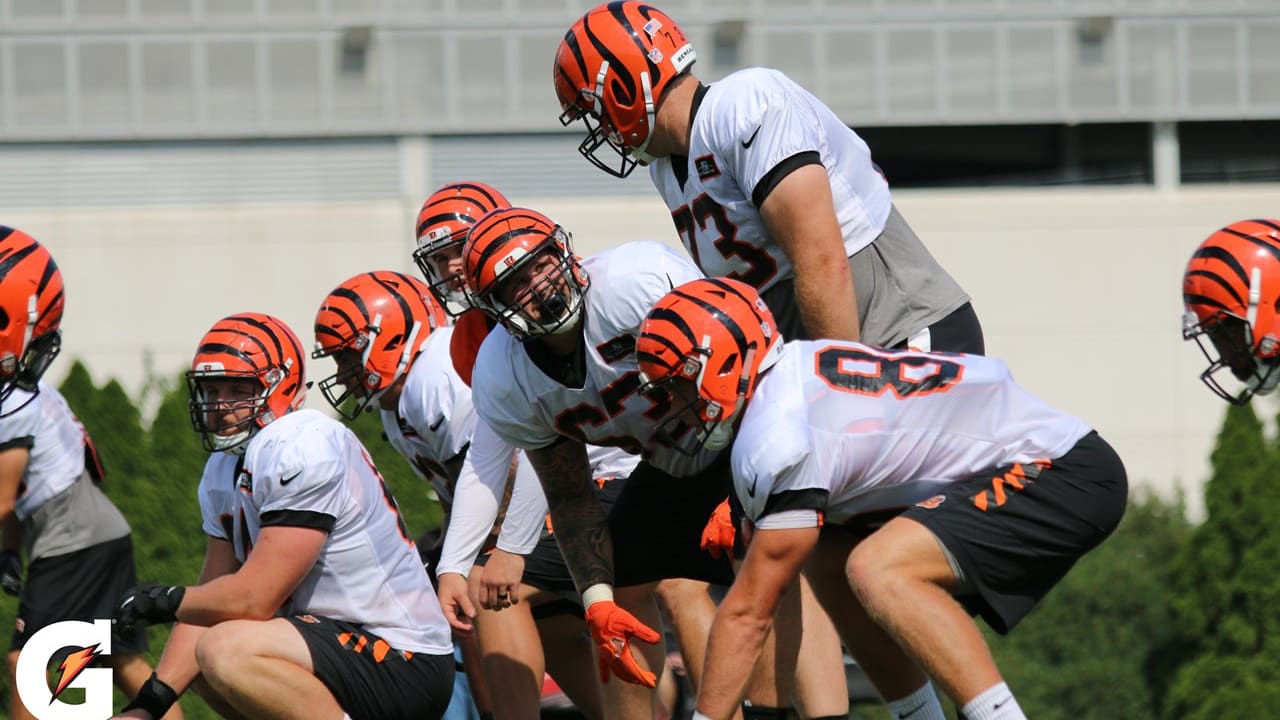 Bengals Training Camp 8/3