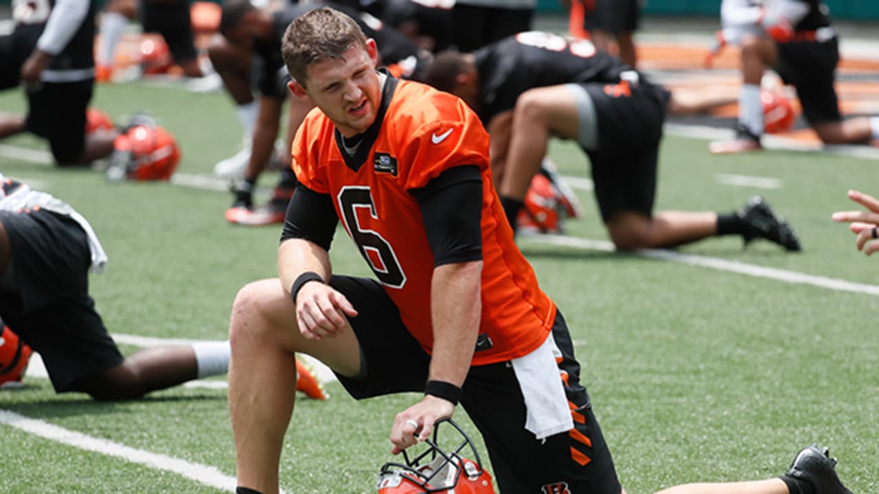 Bengals Player Moves: Driskel to IR, Toner and Shelton to practice squad