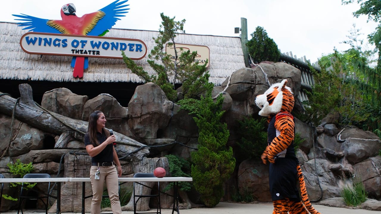 MLCF - Learning is Cool Academic Achievement Celebration