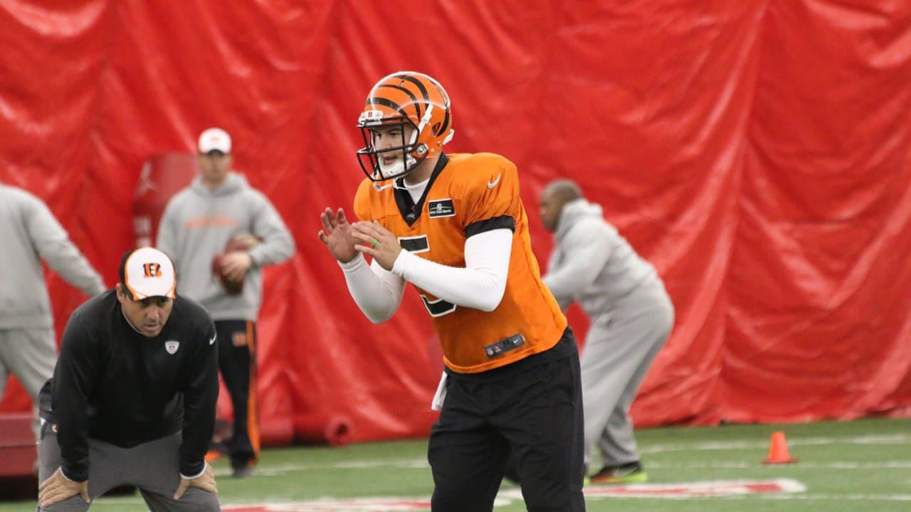 Bengals Practice at UC