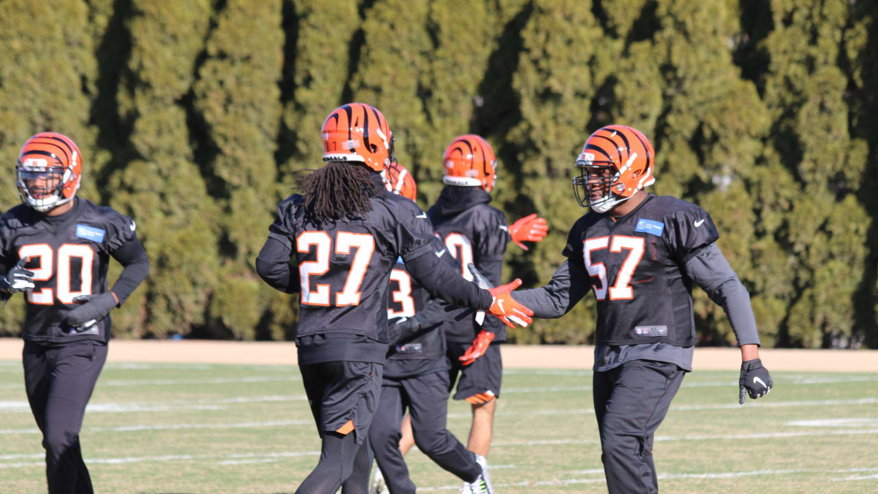 Week 16: Bengals Wednesday Practice