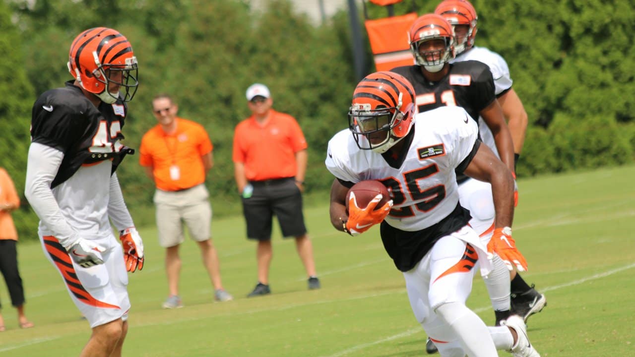 Bengals Training Camp 8/7