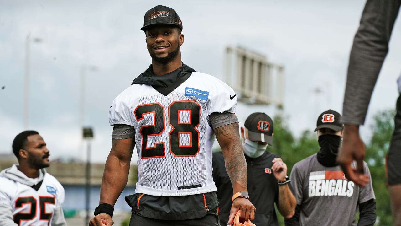 Photo Gallery: Bengals Workout August 4