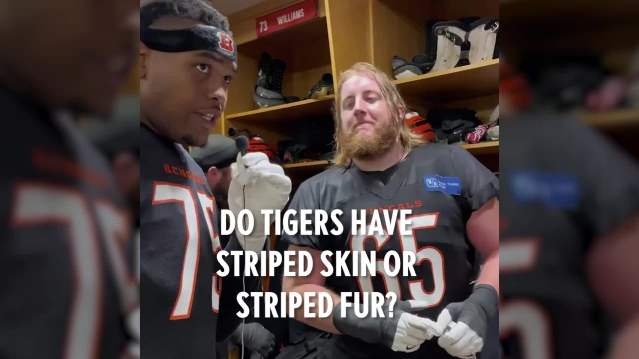 Does a Tiger Have Striped Skin or Striped Fur? | Mic Check with Orlando ...