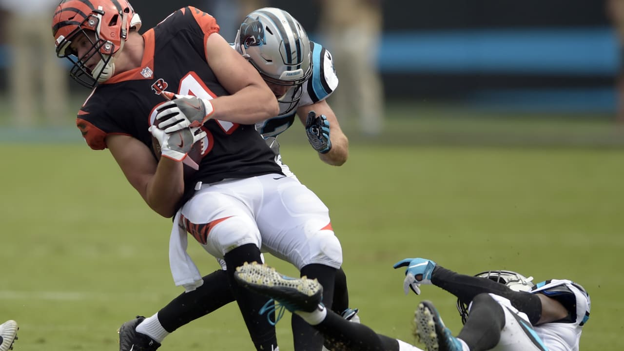 Cincinnati Bengals at Carolina Panthers Week 3