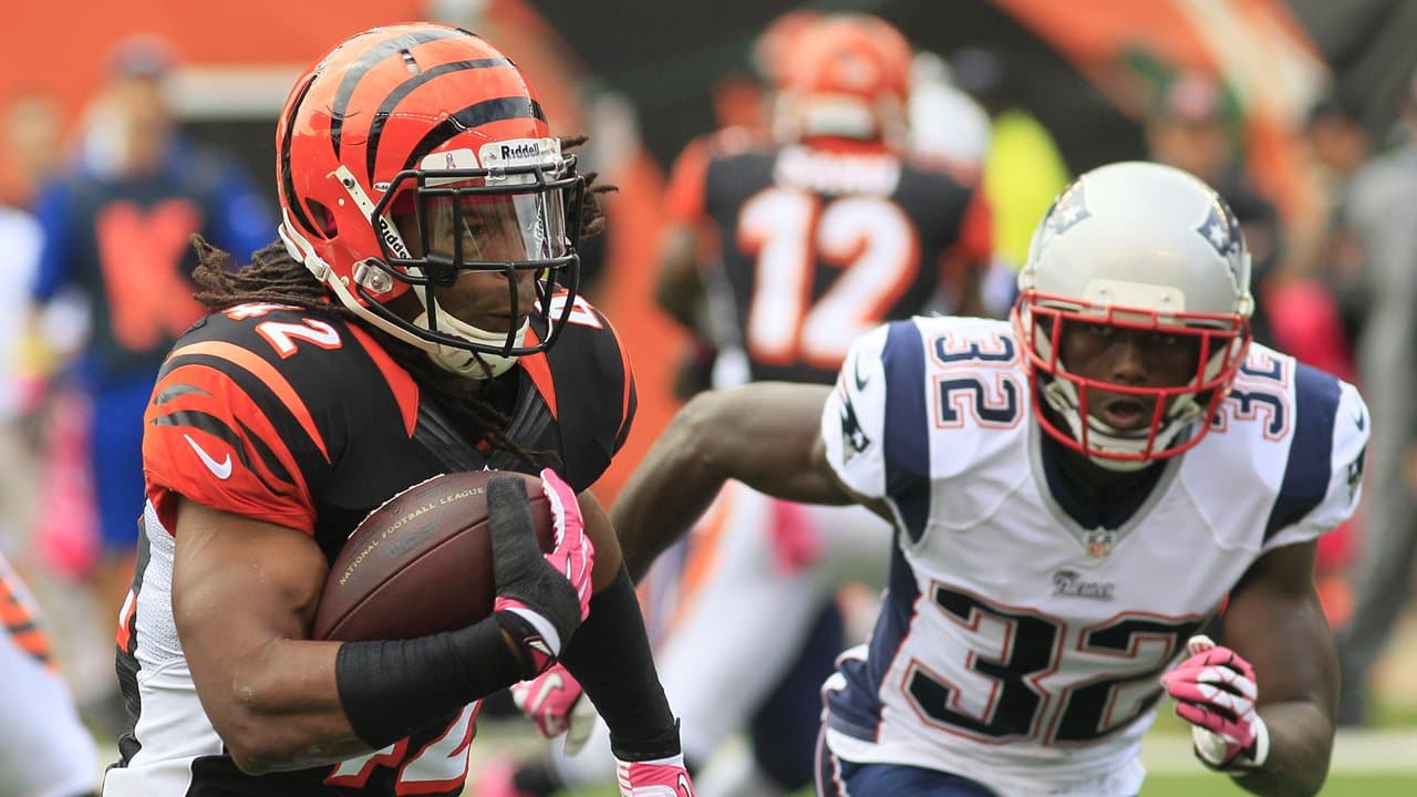 Patriots-Bengals Photo Gallery