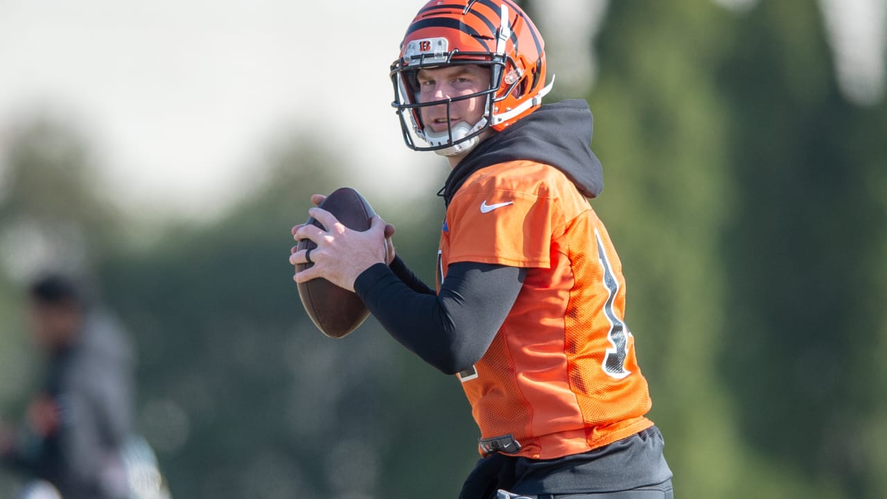 Week 12: Bengals Wednesday Practice