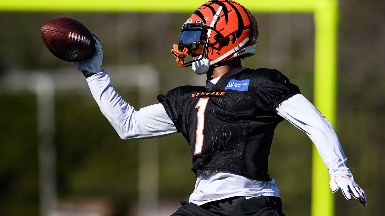 Super Quick Hits: Bengals Heat Waved In L.A.; Ohio Title Game Loss ...