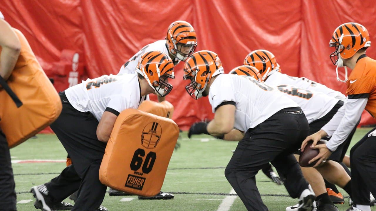 Bengals Practice 11/18