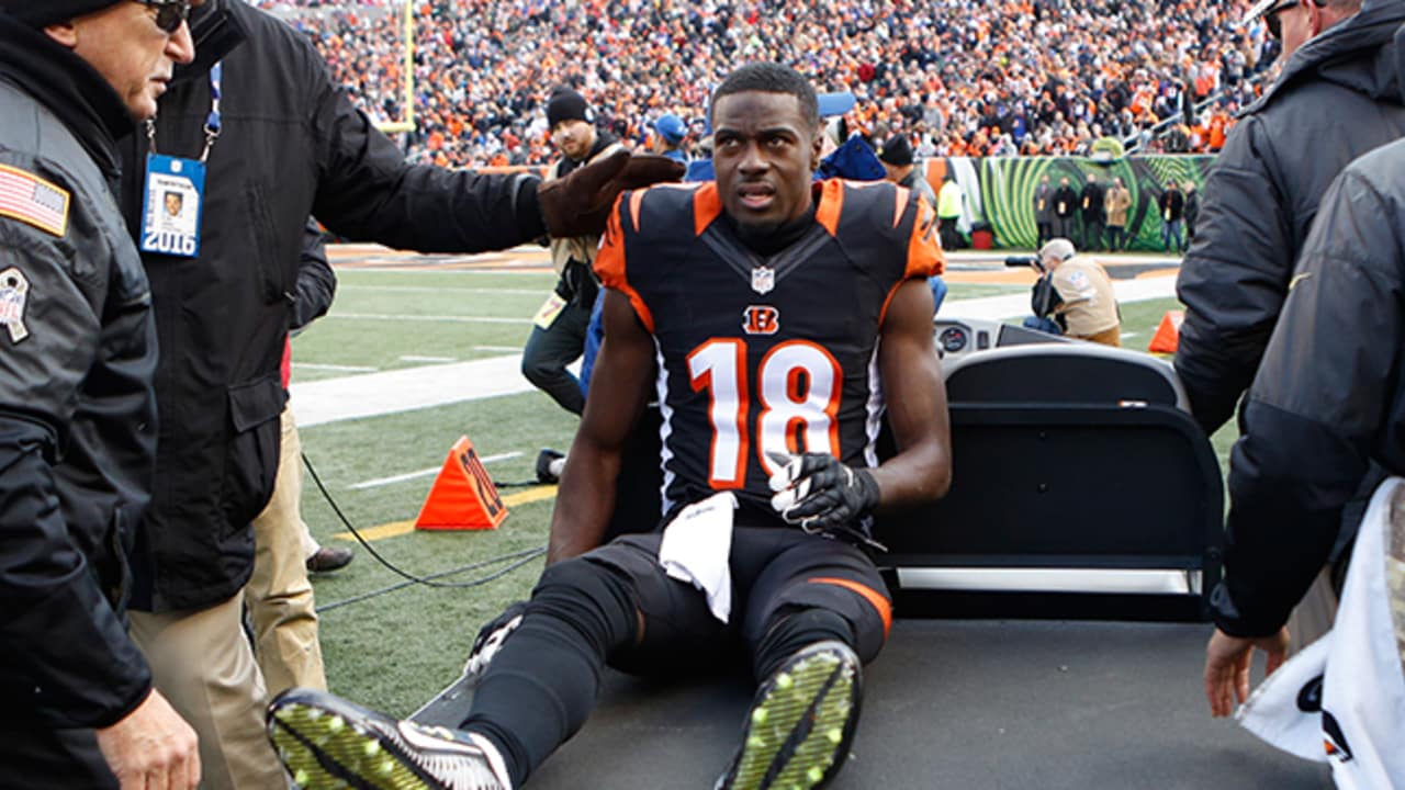 Quick hits: injuries devastate Bengals as Bernard tears ACL; torn ...